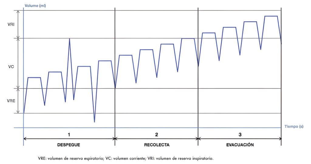 Fisioterapia Respiratoria. Todas las técnicas de higiene bronquial