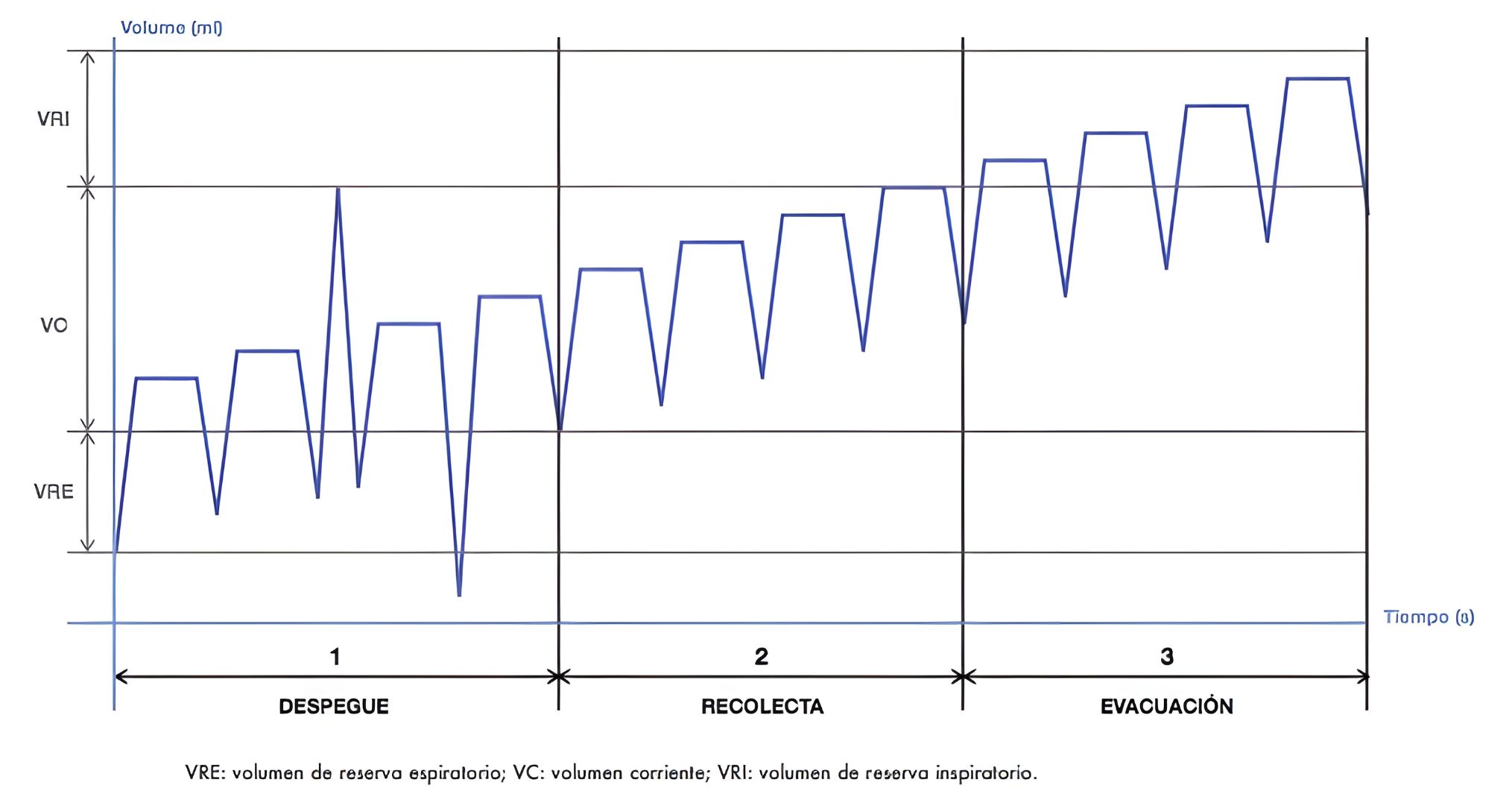 Fisioterapia Respiratoria. Todas las técnicas de higiene bronquial